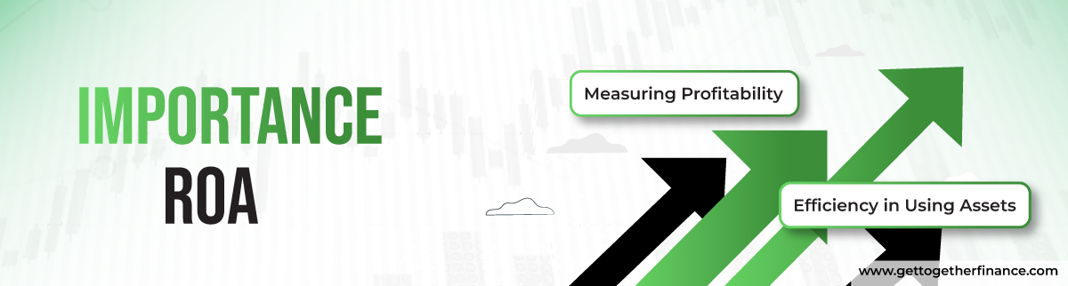 Maximizing Return on Assets (ROA)