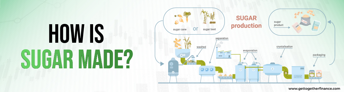 Highest sugar production countries and best sugar stocks