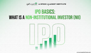 Non-Institutional Investor: Features and their Role in IPO
